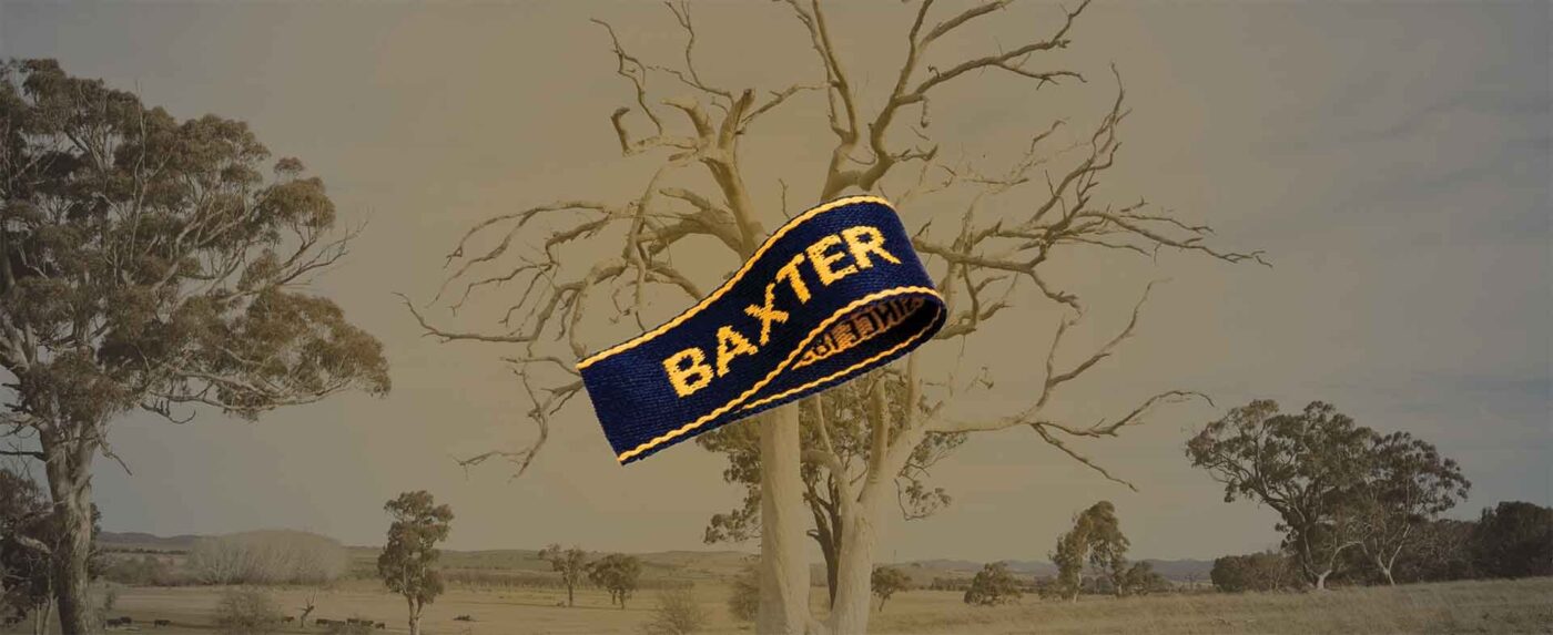 Baxter Boots - Work - núcleo