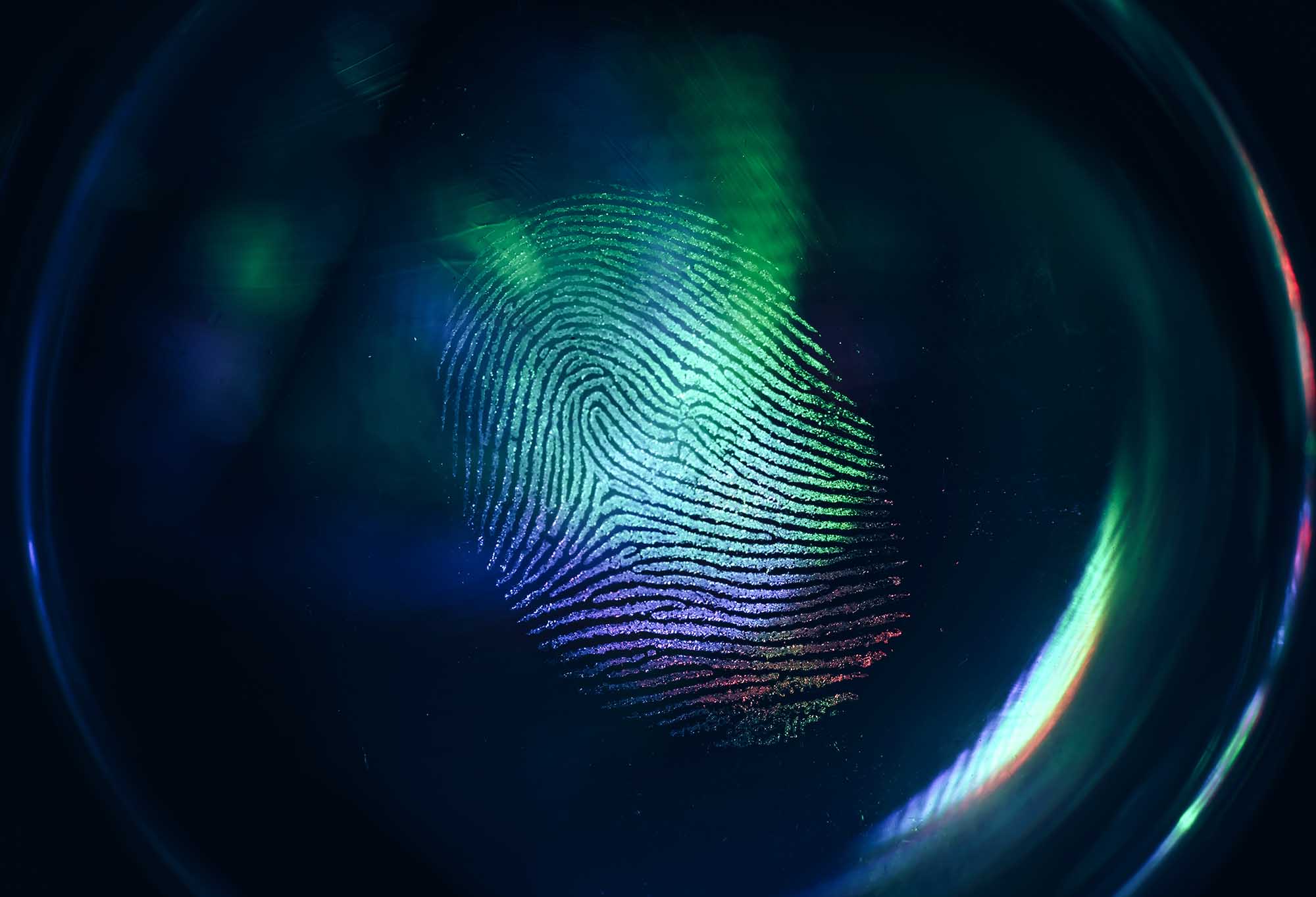 Warsash - Work - núcleo