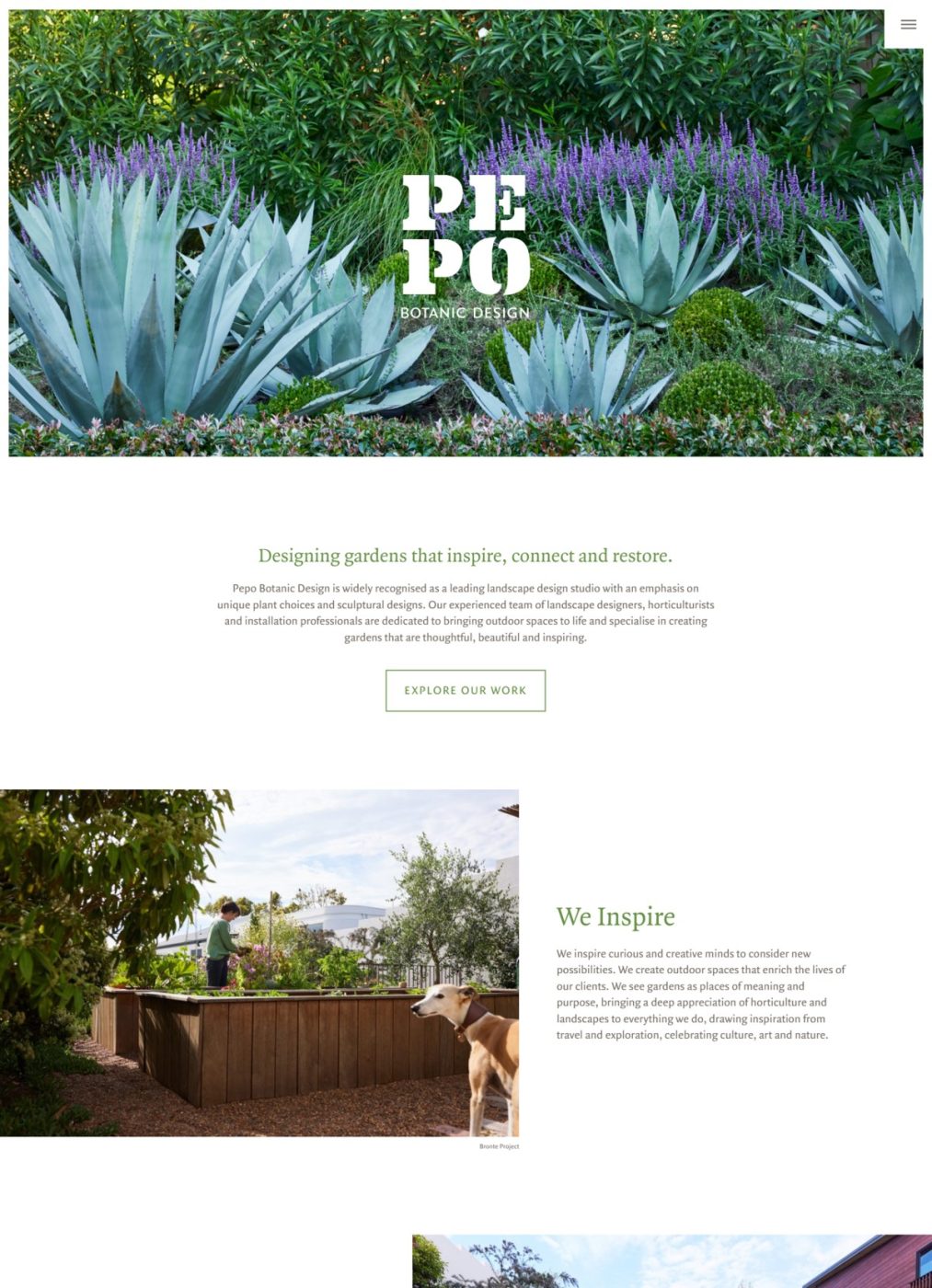 Pepo - Work - núcleo